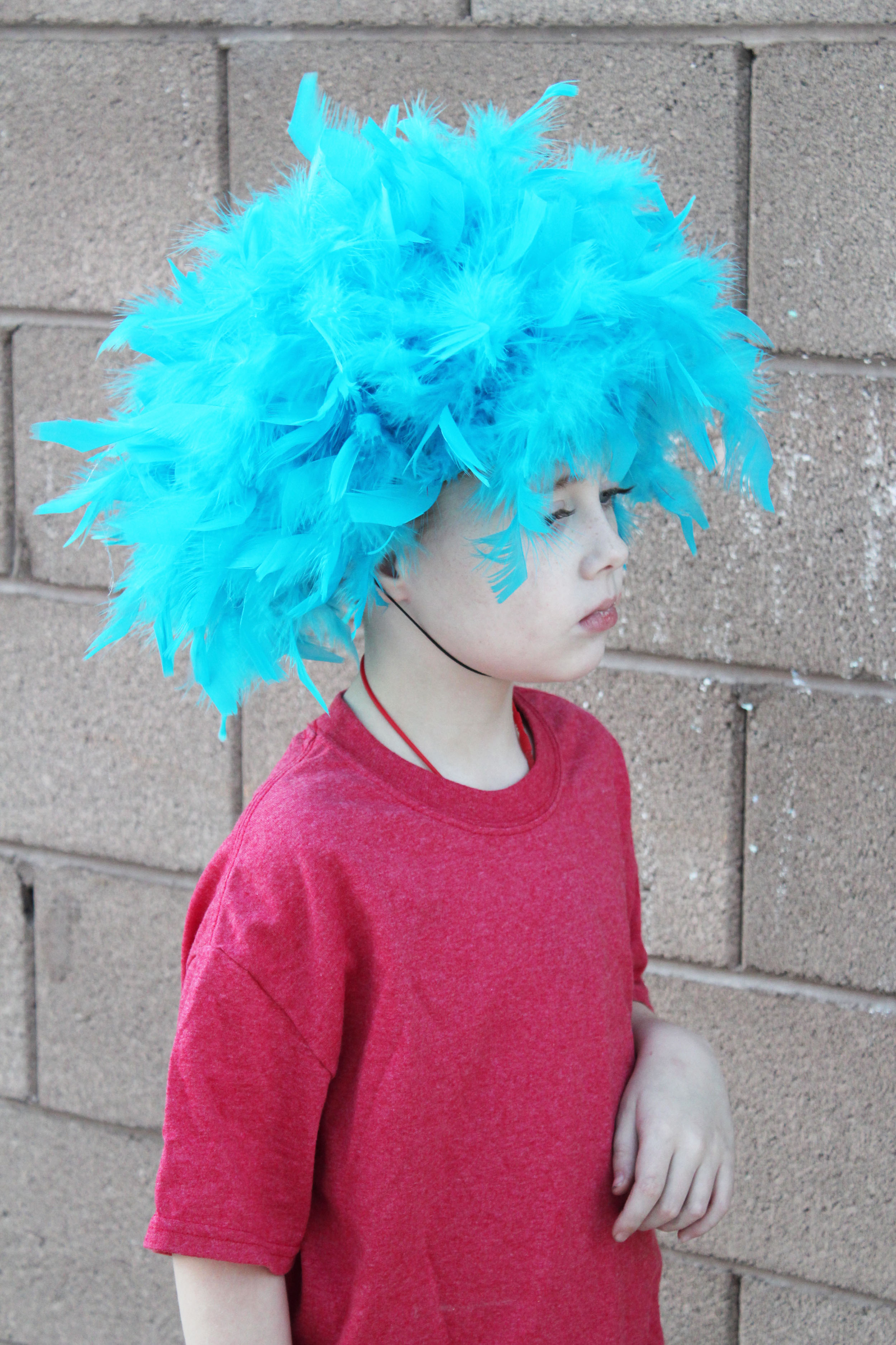 Simple DIY Thing 1 And Thing 2 Hair 30 Minute Crafts